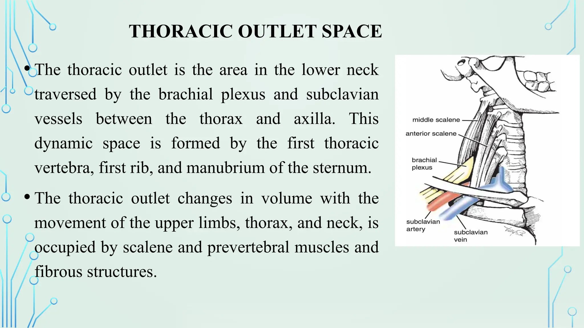 THORACIC OUTLET SYNDROME(TOS)-PPT..pptx