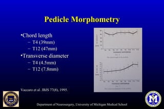 Thoracic pedicle screws | PPT