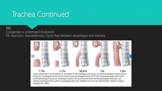 Thoracic review | PPT