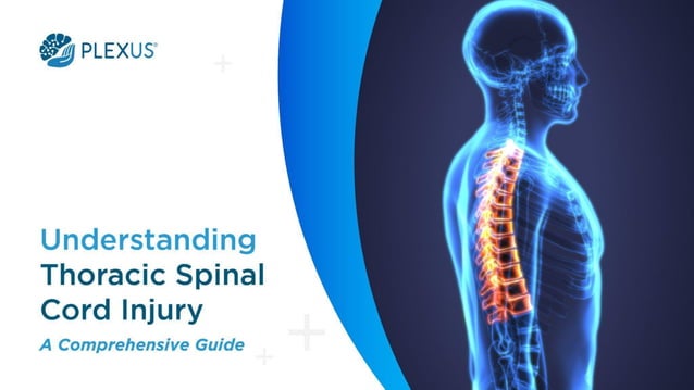 Understanding thoracic Spinal Cord Injury : A Comprehensive Guide | PPT
