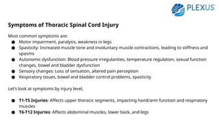 Understanding thoracic Spinal Cord Injury : A Comprehensive Guide | PPTX