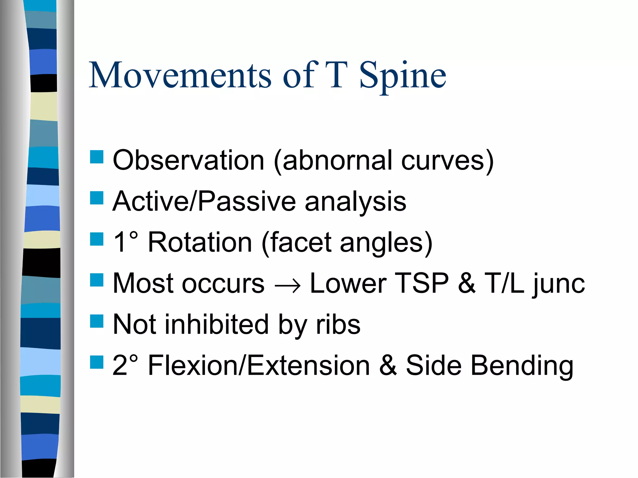 Thoracic spine | PPT