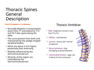 Thoracic Spine anatomy and manual techniques.pptx