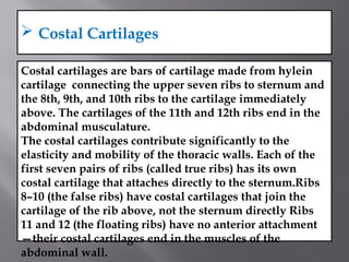 Thoracic surgery presentation and it's types | PPTX