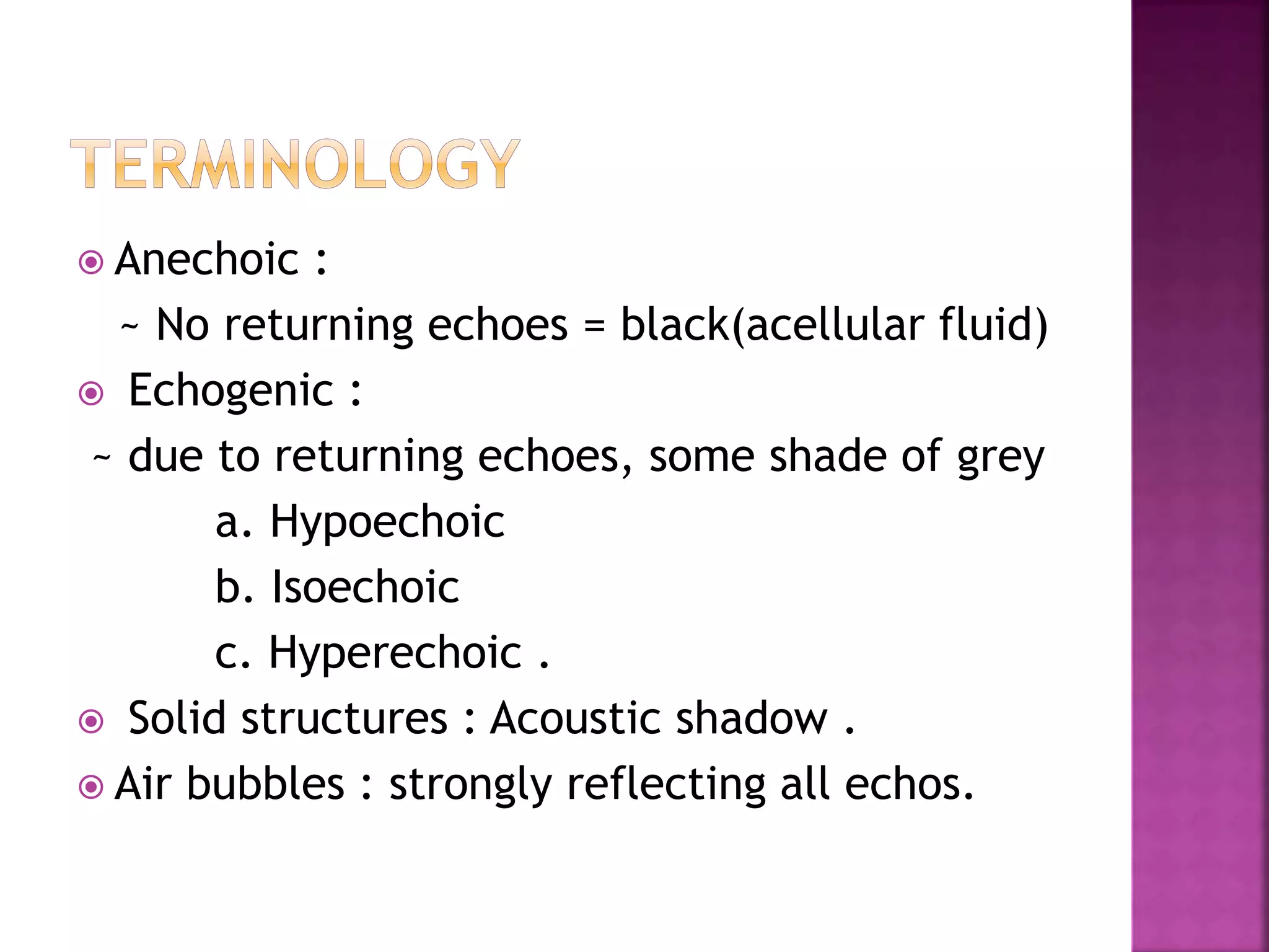 Thoracic ultrasonography ULTIMATE | PPTX