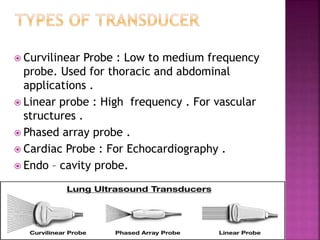 Thoracic ultrasonography ULTIMATE | PPTX