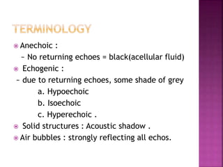 Thoracic ultrasonography ULTIMATE | PPTX