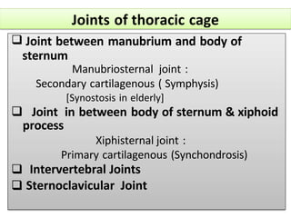Xiphisternal Joint