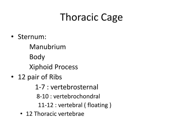 thoracic_wall_5-2-15.ribs and sternum, pdf | PDF