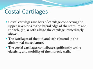 Thoracic wall 1 | PPTX