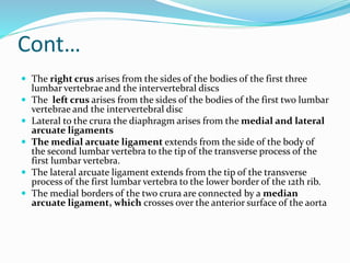 Thoracic wall 1 | PPTX