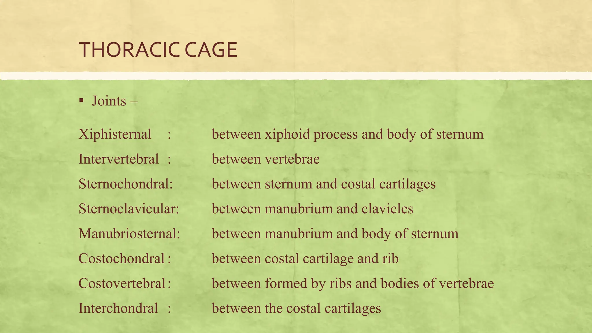 THORACIC WALL & CAVITY.pptx