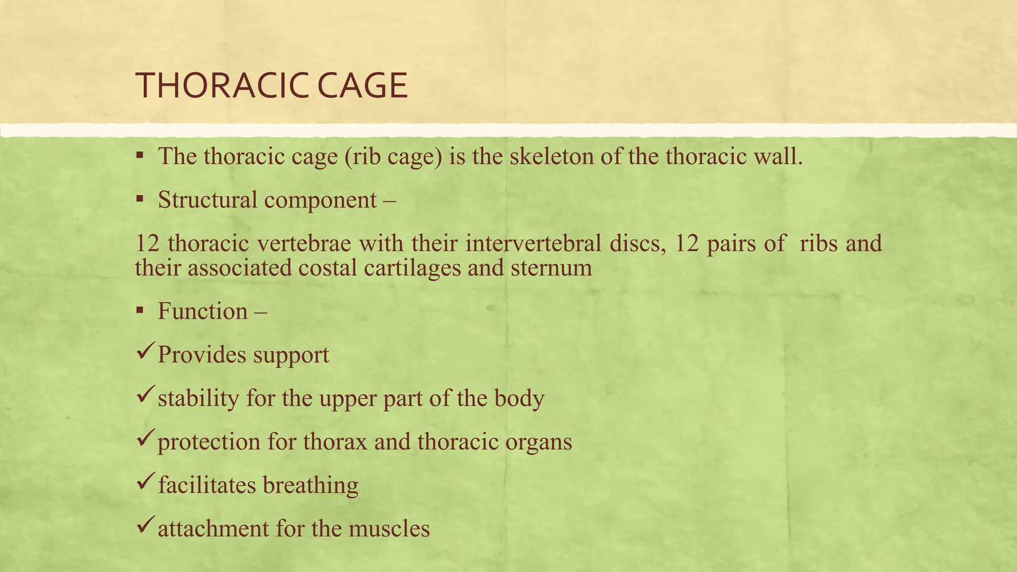 THORACIC WALL & CAVITY.pptx