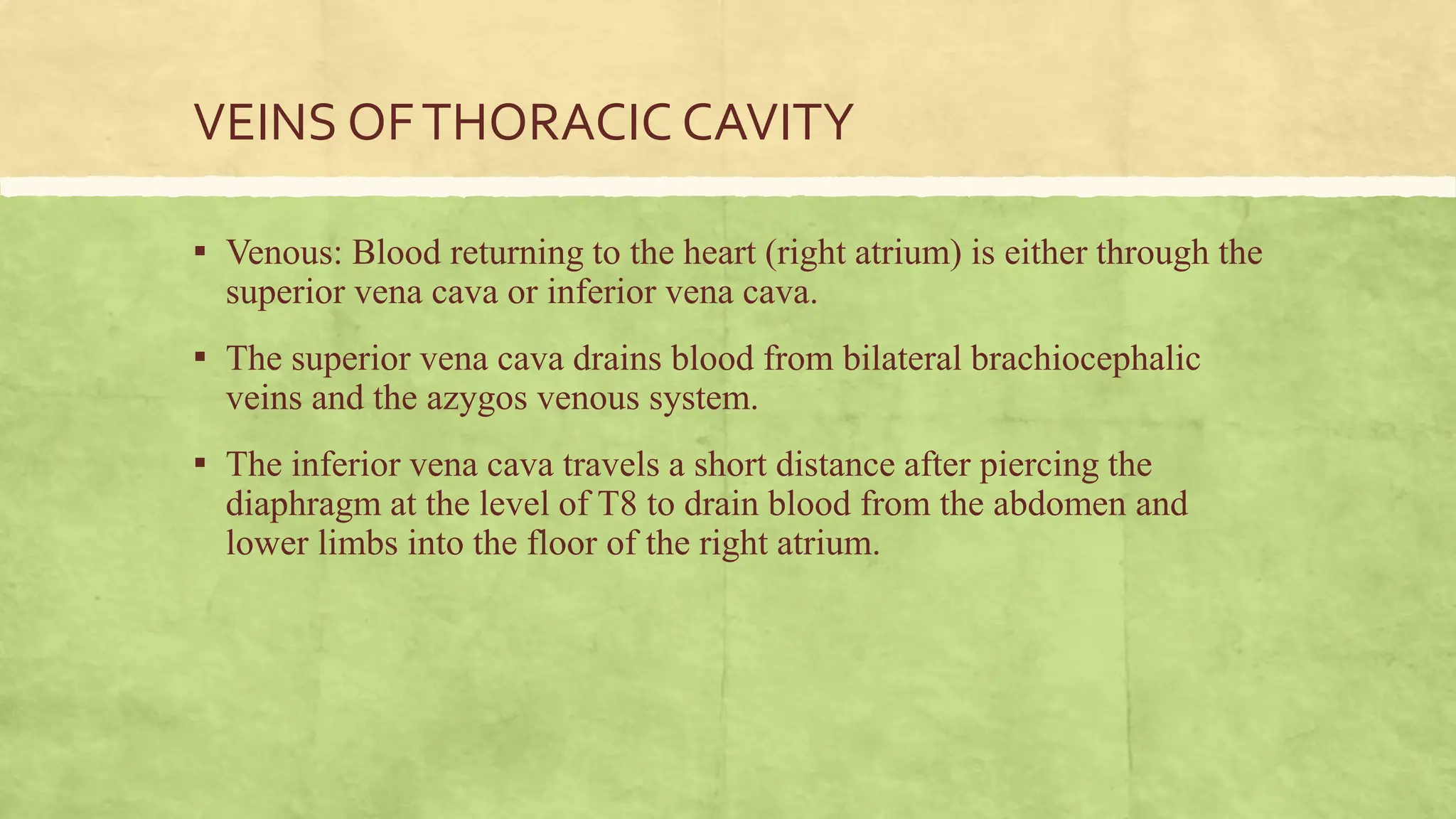 THORACIC WALL & CAVITY.pptx