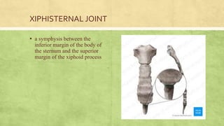 THORACIC WALL & CAVITY.pptx
