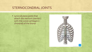 THORACIC WALL & CAVITY.pptx