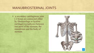 THORACIC WALL & CAVITY.pptx