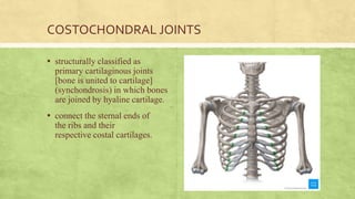 THORACIC WALL & CAVITY.pptx