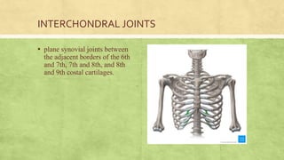 THORACIC WALL & CAVITY.pptx