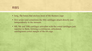 THORACIC WALL & CAVITY.pptx