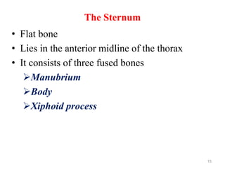 thoracic wall & diaphragm.pdf