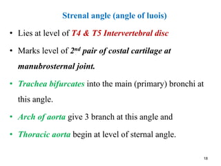 thoracic wall & diaphragm.pdf