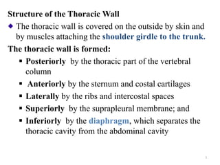 thoracic wall & diaphragm.pdf