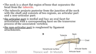 Thoracic wall l4 dr kandil | PPTX