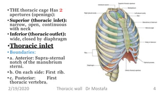 Thoracic wall l4 dr kandil | PPTX