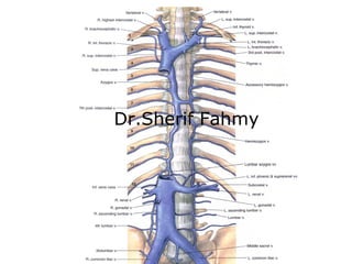 Thoracic walls (Anatomy of the Thorax) | PPS