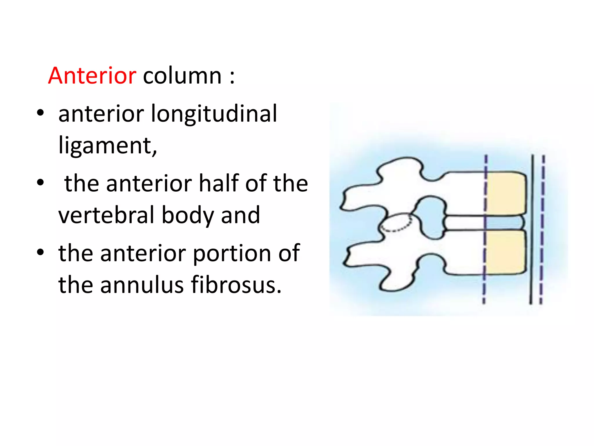 Thoraco lumbar fractures of spine | PPTX