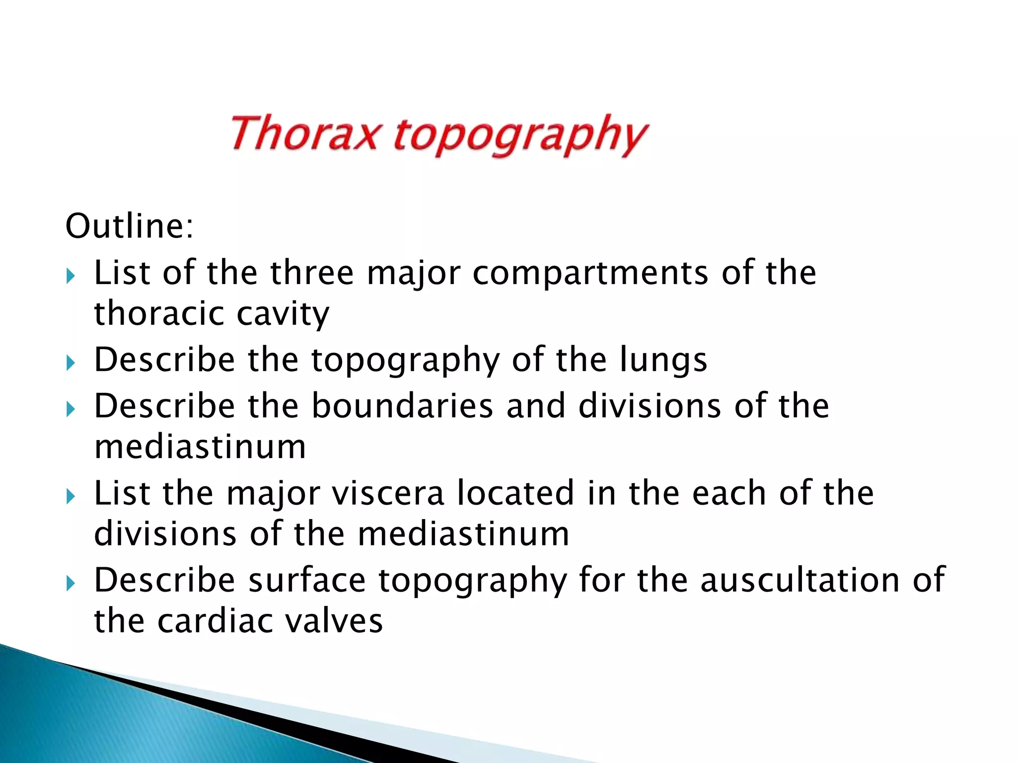topography of chest and abdomen | PPT
