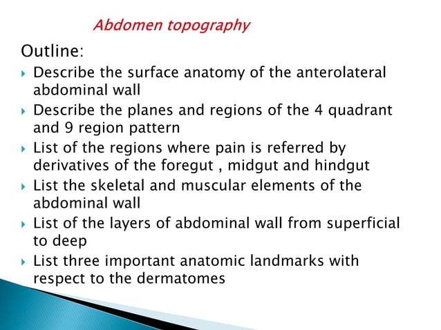 topography of chest and abdomen | PPT