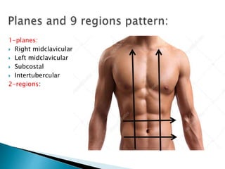 topography of chest and abdomen | PPT