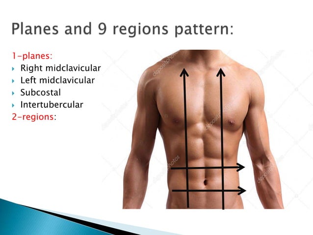 topography of chest and abdomen | PPT