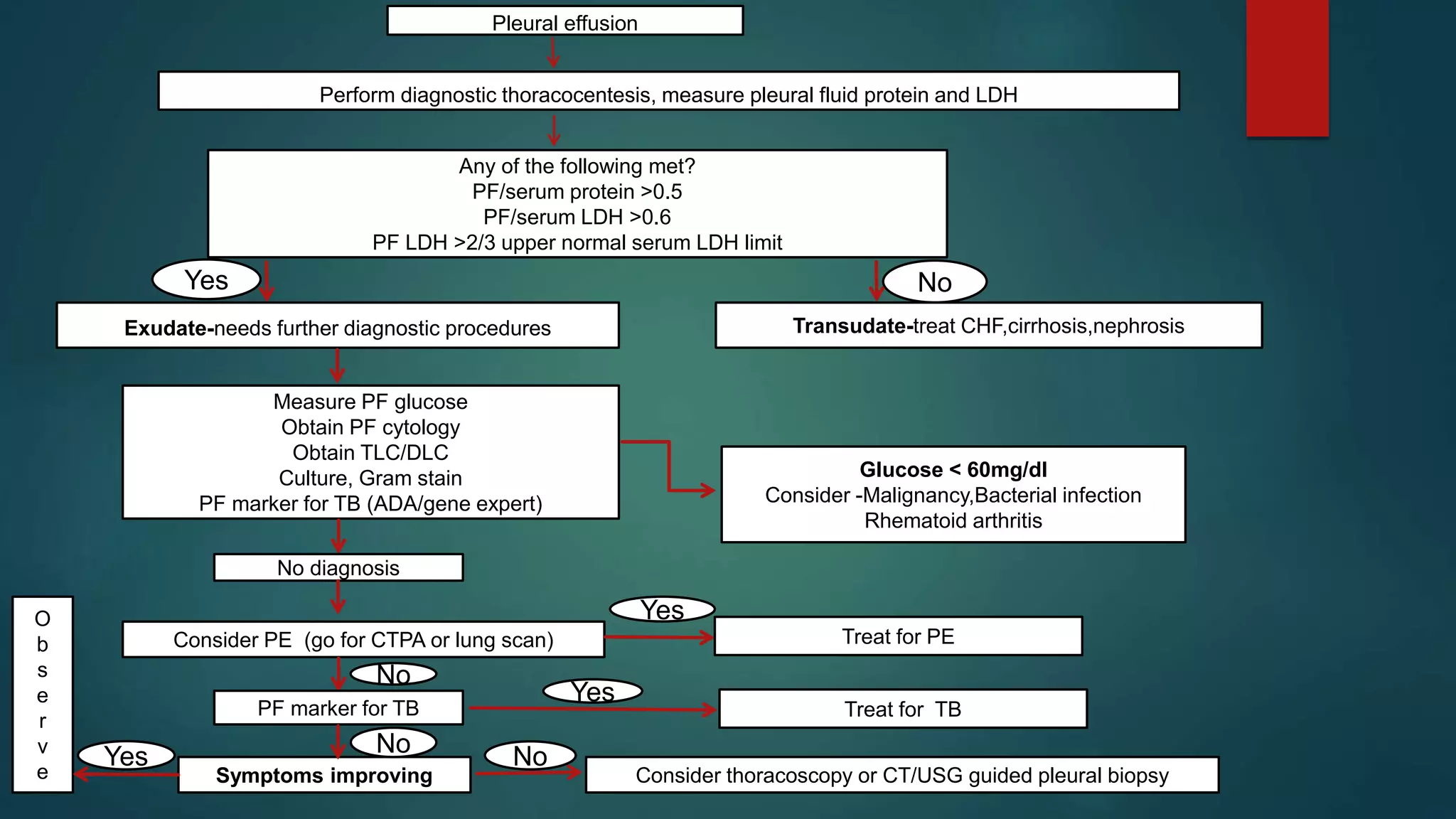 Thoracocentesis / pleural effusion | PPTX