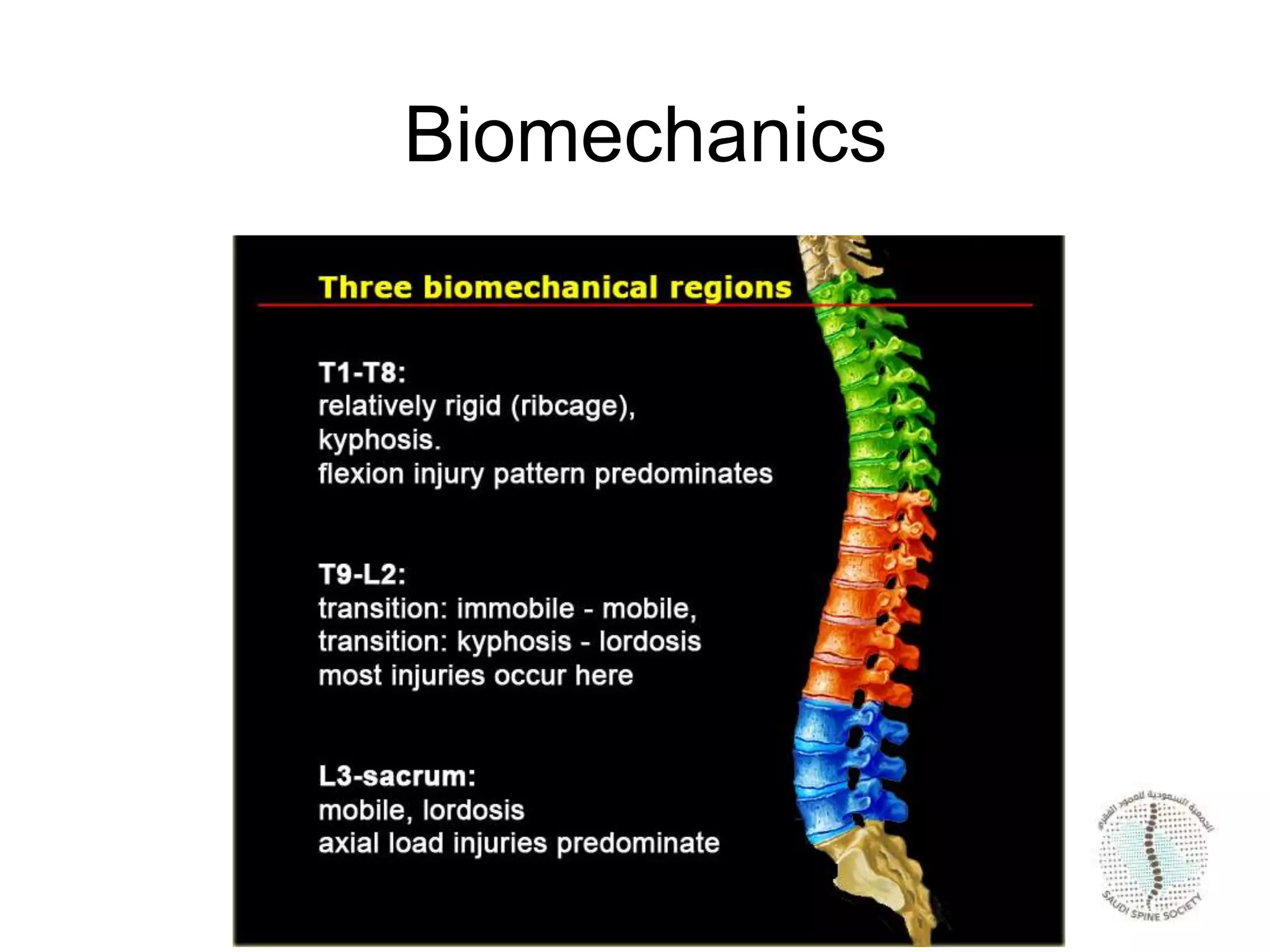 Thoracolumbar-spine-fracture-.ppt