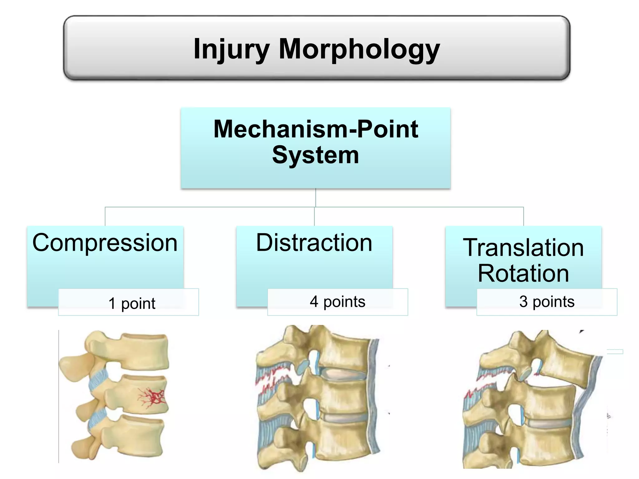 Thoracolumbar-spine-fracture-.ppt