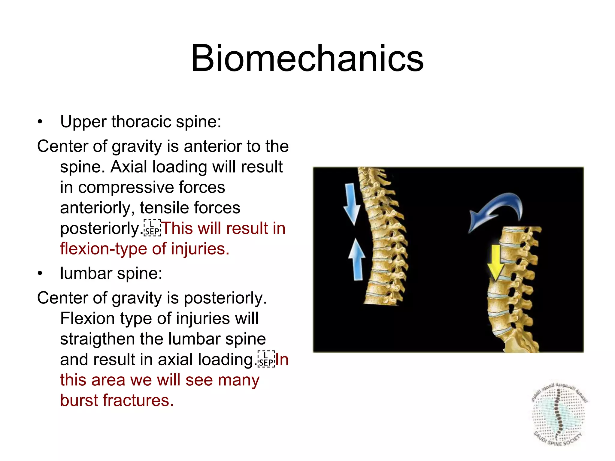 Thoracolumbar-spine-fracture-.ppt