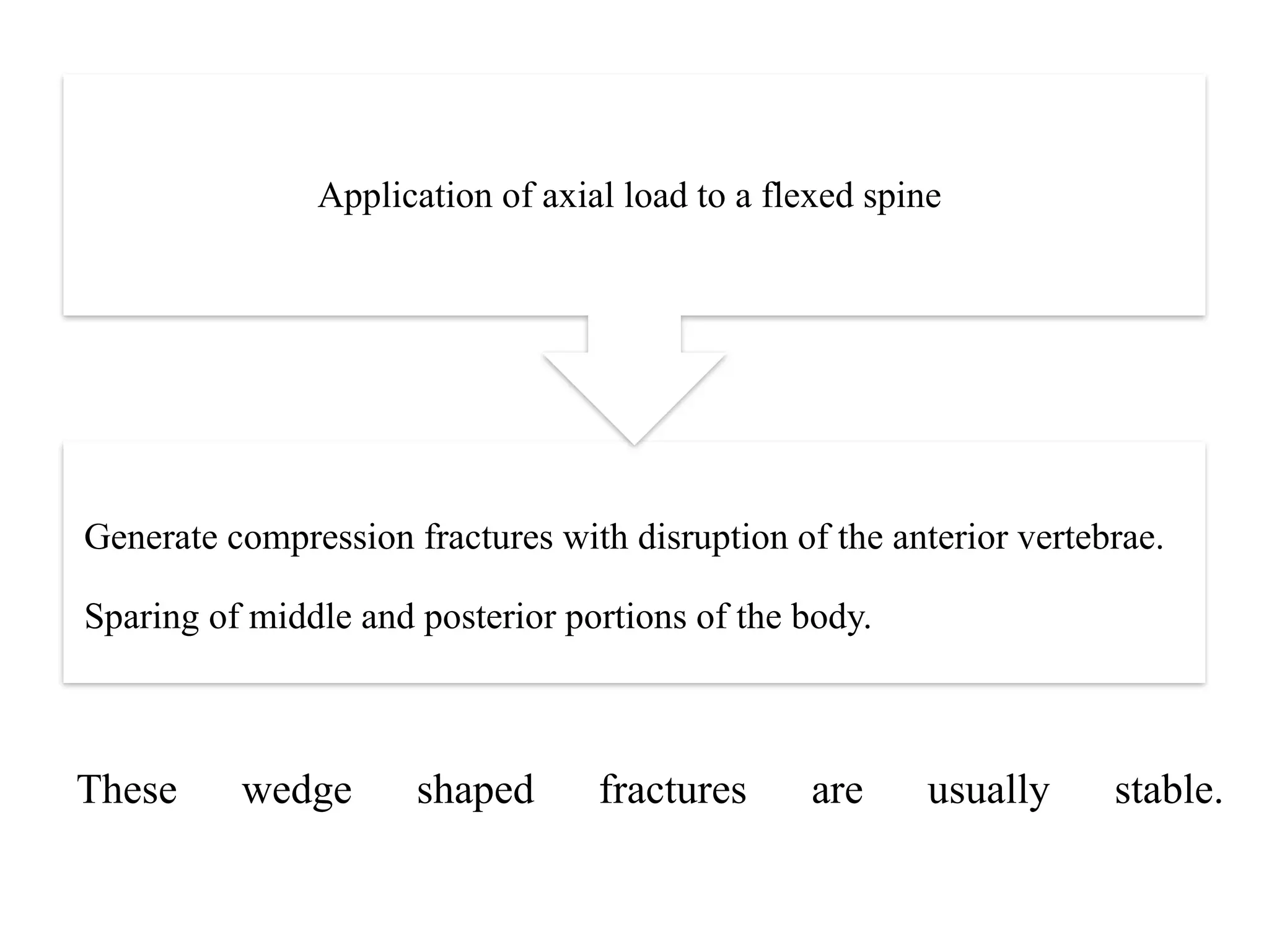 Thoracolumbar fractures Seminar spine.pptx