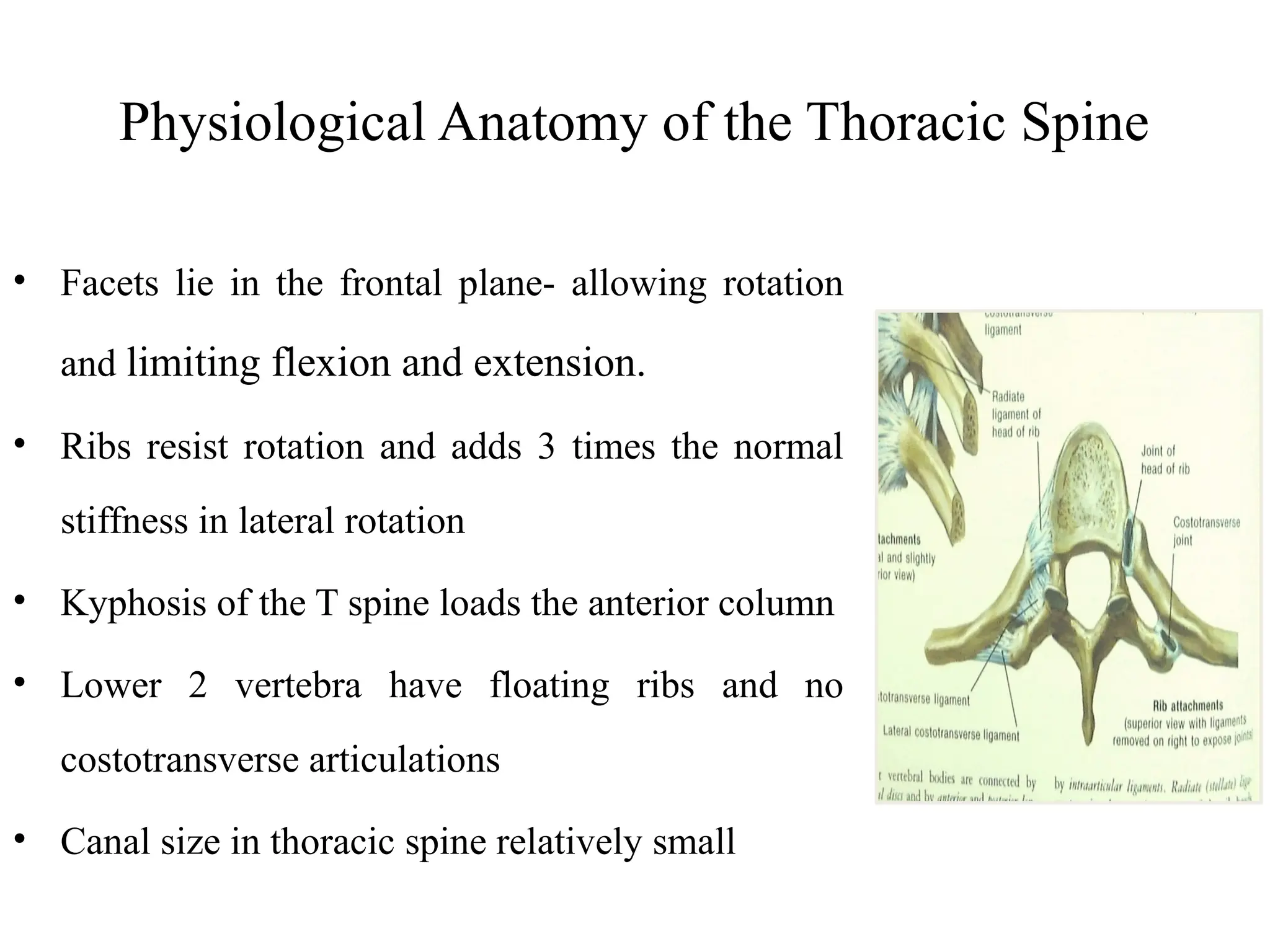 Thoracolumbar fractures Seminar spine.pptx