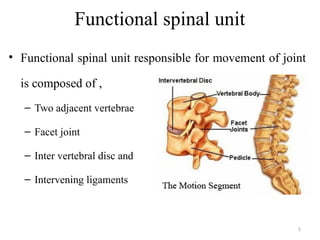 Thoracolumbar fractures Seminar spine.pptx