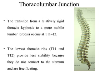 Thoracolumbar fractures Seminar spine.pptx