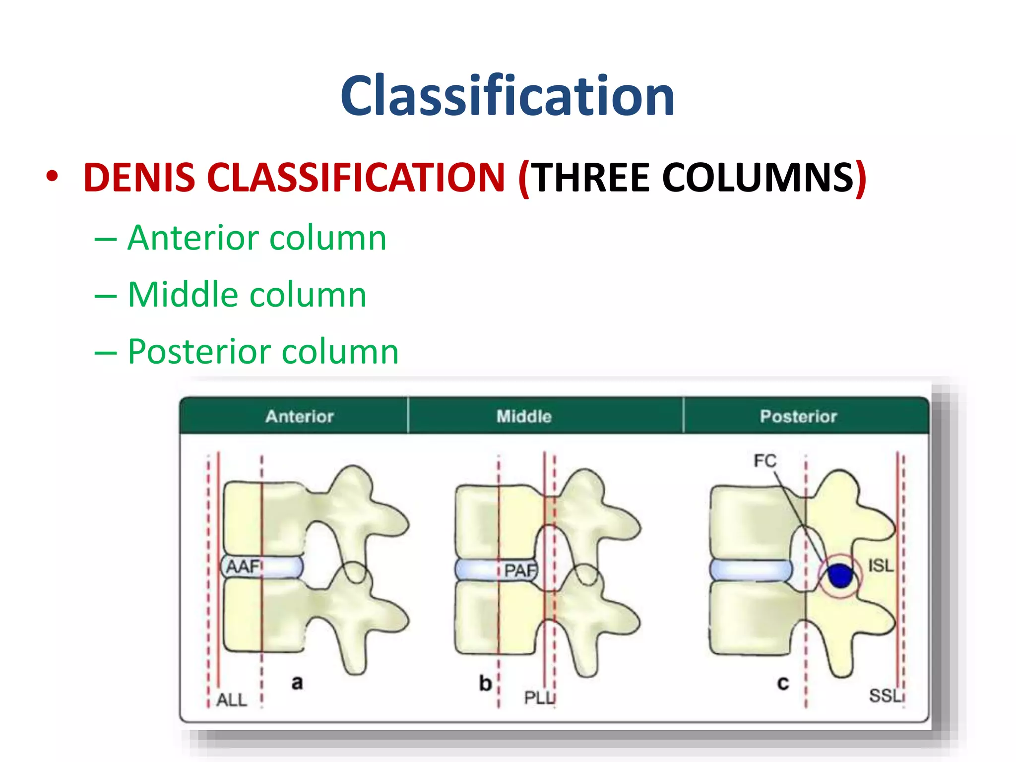 Thoracolumbar Spinal Injuries.pptx