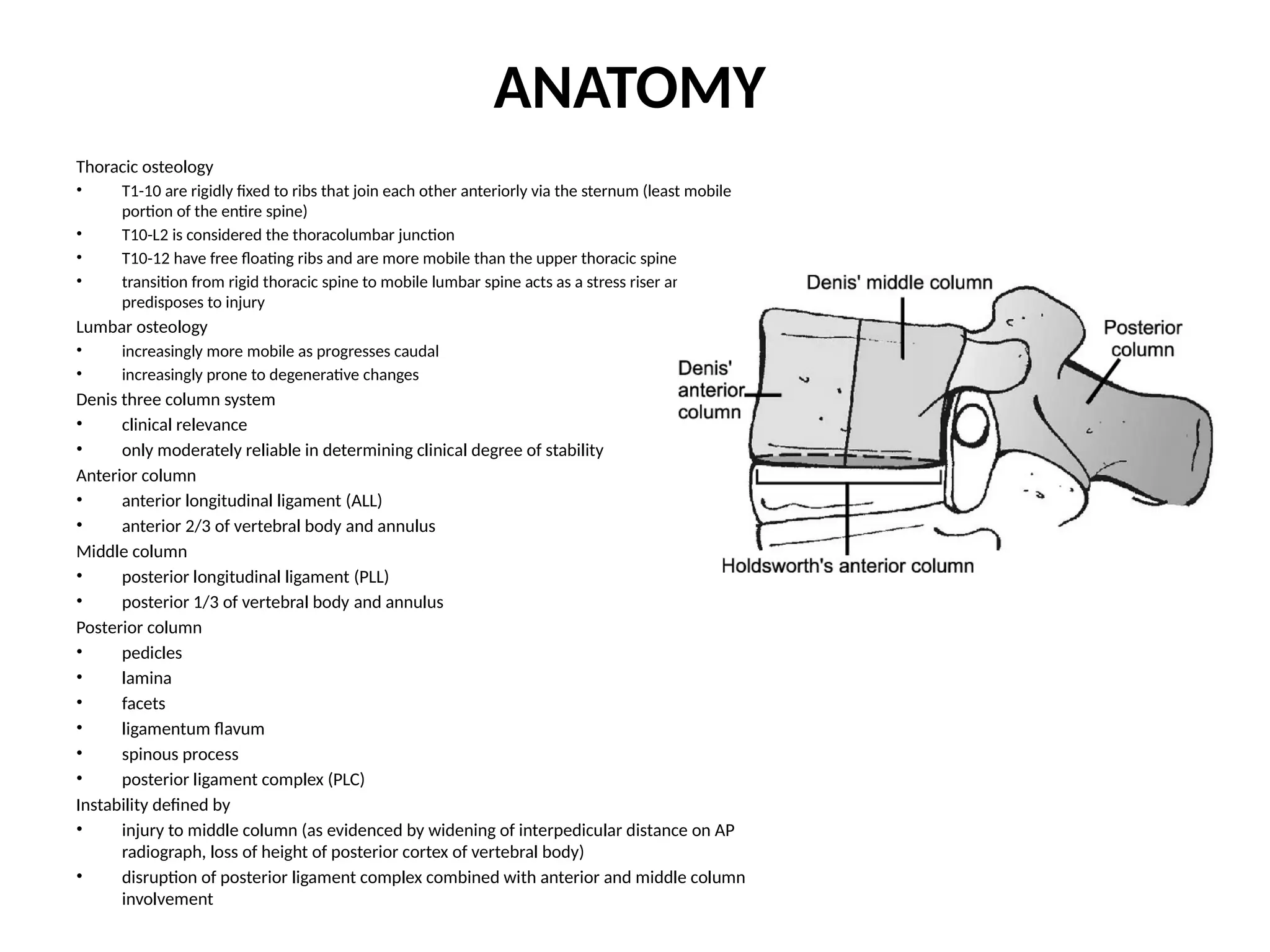 Thoracolumbar spine normal anatomy in human | PPTX