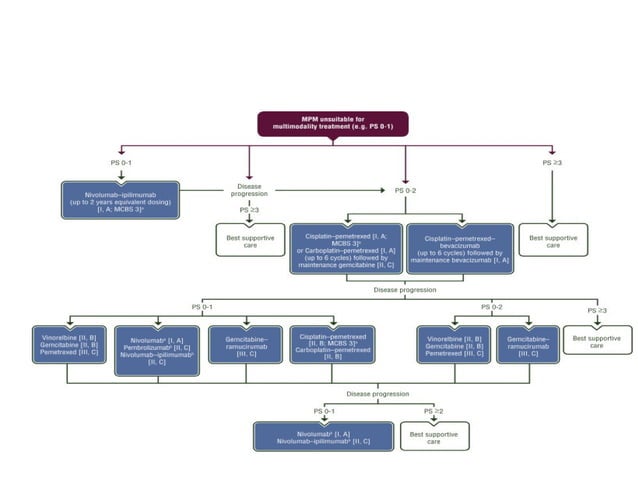 THORACOONCOLOGY 2024 Lecture 7.pptx Ivan Petkovic.pptx