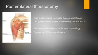 THORACOTOMY..............................pdf