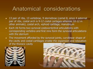 Thoracic Surgery | PPT
