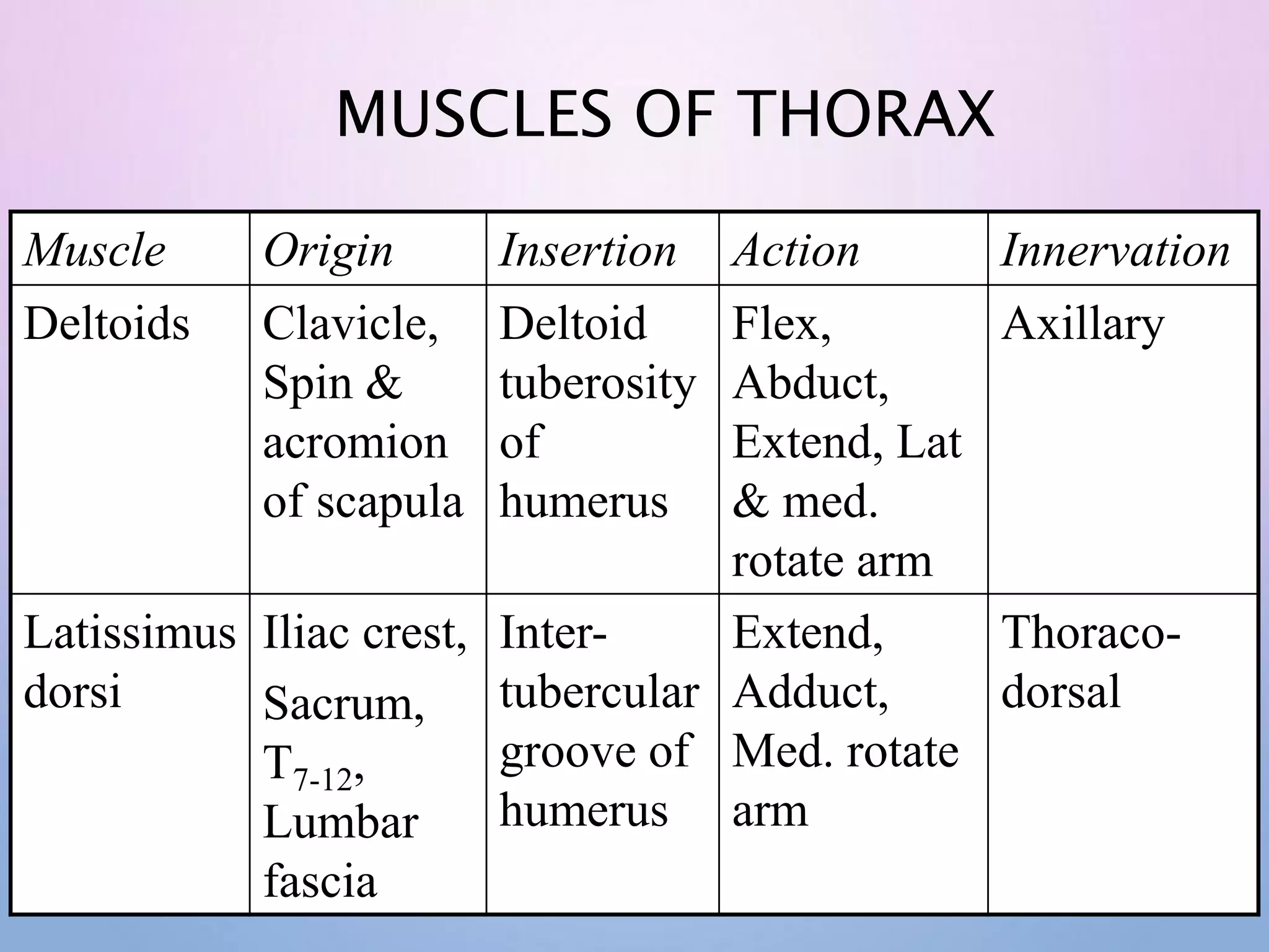 Thorax | PPTX