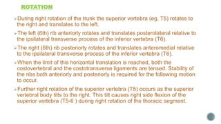 Thorax. Full Explanation | PPTX